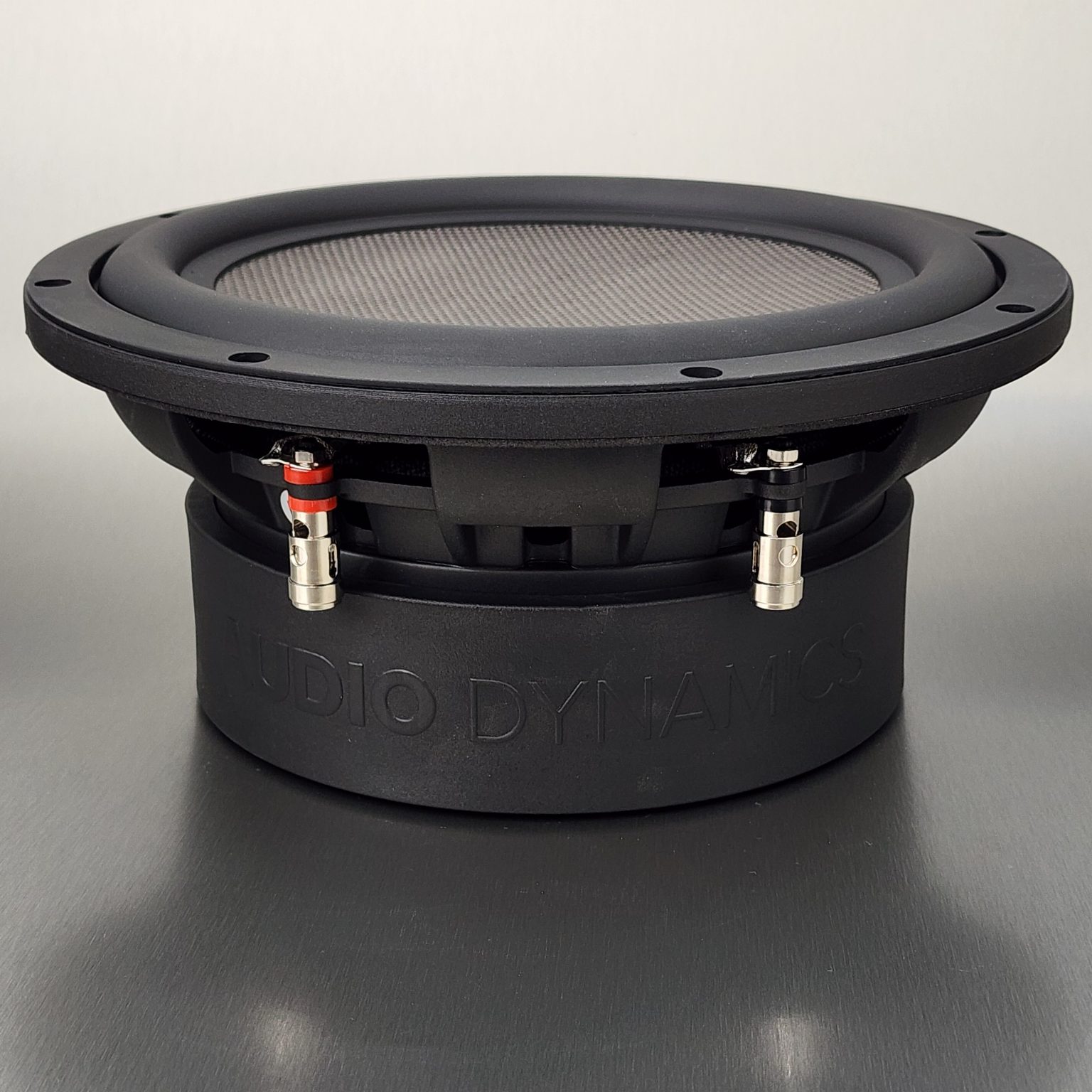 M10 – Master Series 10″ Subwoofer | AD Store